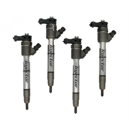 Hyundai Santa fe 2.2 CRDi 4x4 145 KW 197 PK BOSCH Verstuivers Gebruikte ...